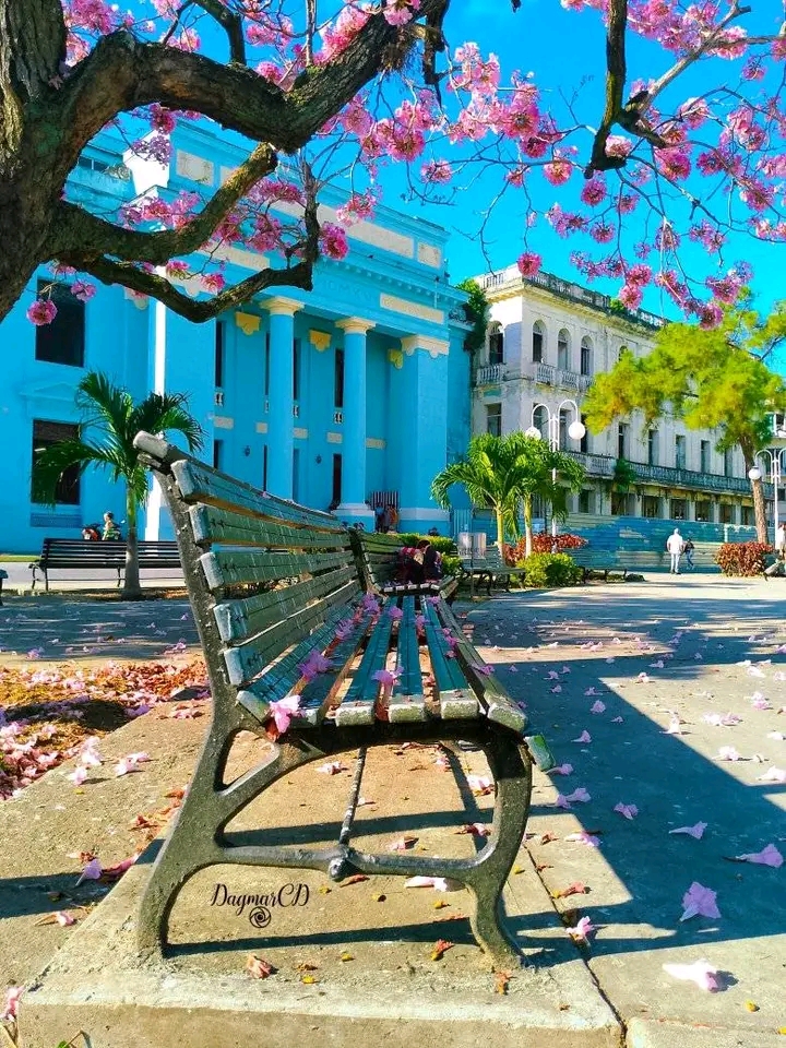 Parque Vidal o donde nació la ciudad (+Fotos y Audio) - CMHW