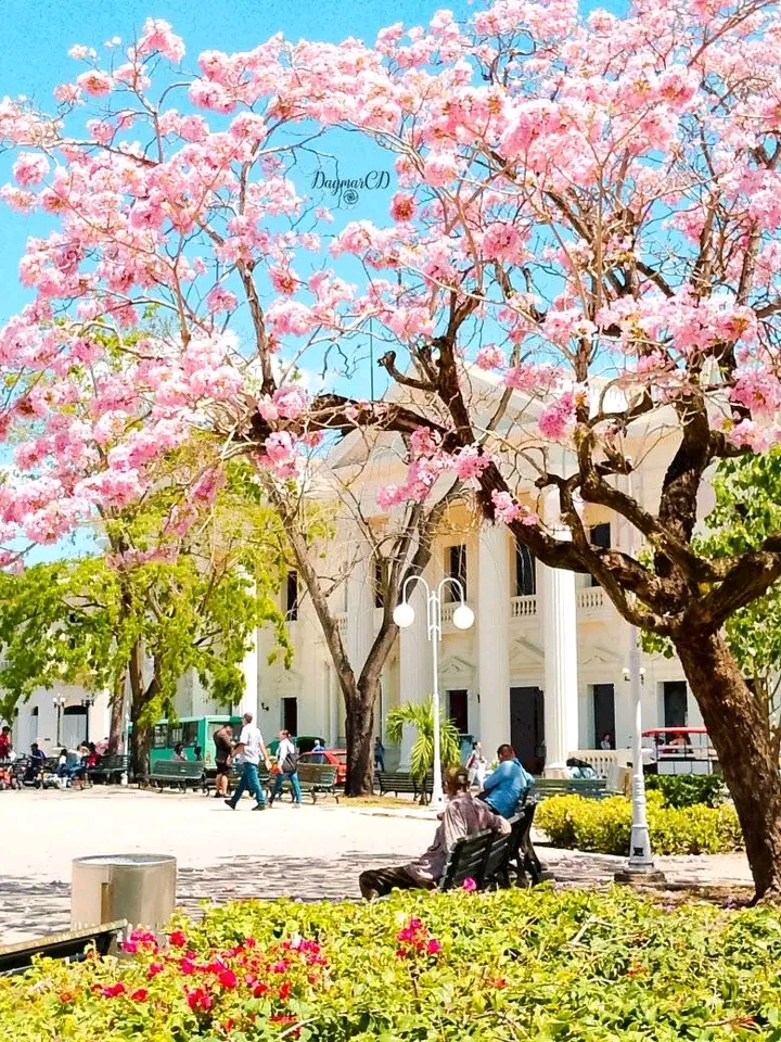 Parque Vidal o donde nació la ciudad (+Fotos y Audio) - CMHW