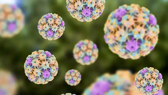 Científicos descubren relación directa entre virus del VPH y cáncer de ...